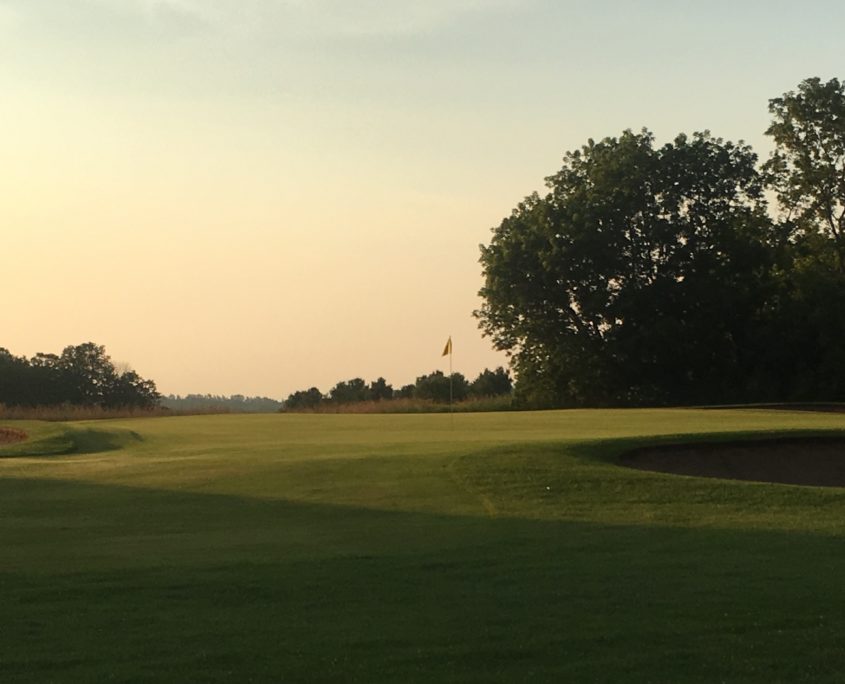 Golf Course - Sugar Loaf - The Old Course