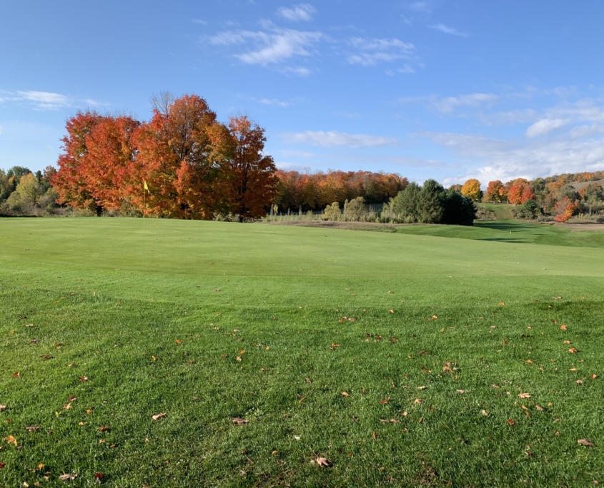 Golf Course - Sugar Loaf - The Old Course